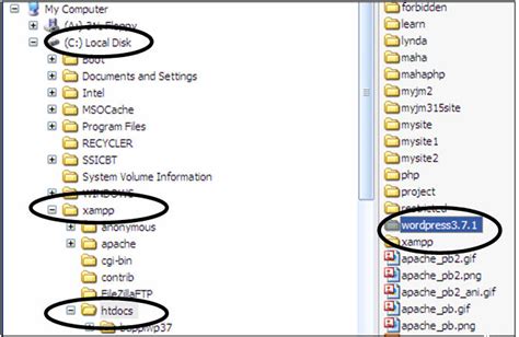 wordpress part 1 wordpress xampp install করা phpmysql এ ডাটাবেজ তৈরী