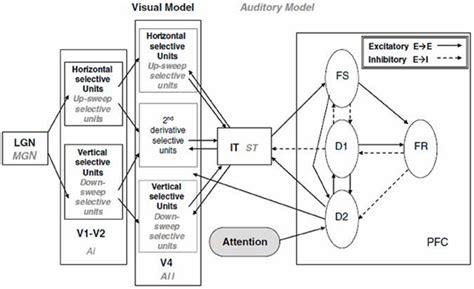 large scale neural network models of the visual and