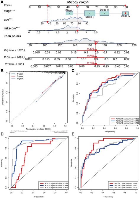 Construction And Evaluation Of A Nomogram Based On The Three M5c