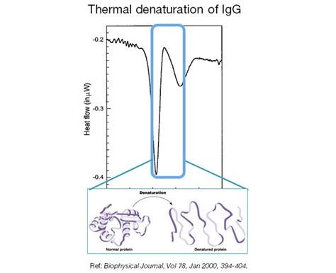 Upgrade Your Maps Peptide Mapping Thermo Scientific