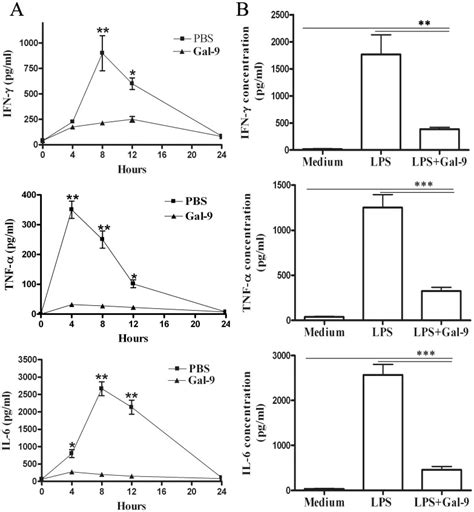 A Time Course Of Ifn γ Tnf α And Il 6 Release Into Serum After Con A