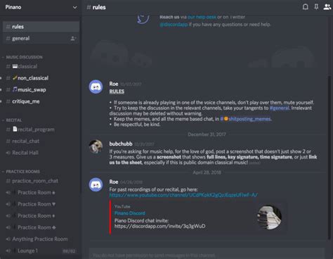 create a professional discord server with custom bots by xxelucidatorxx