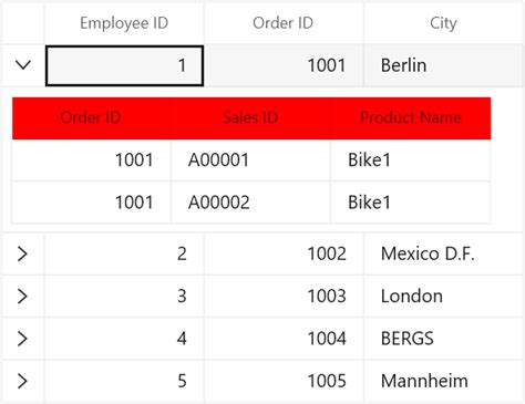 master details view in winui datagrid control syncfusion