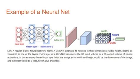 parallel convolutional neural network