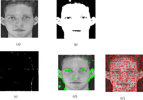 detection the features of the skin and image for the second proposed