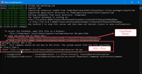 jupyter lab error out in windows subsystem for linux wsl2