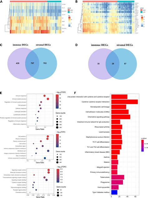 Frontiers Identification Of Prognostic Stromal Immune Score Based