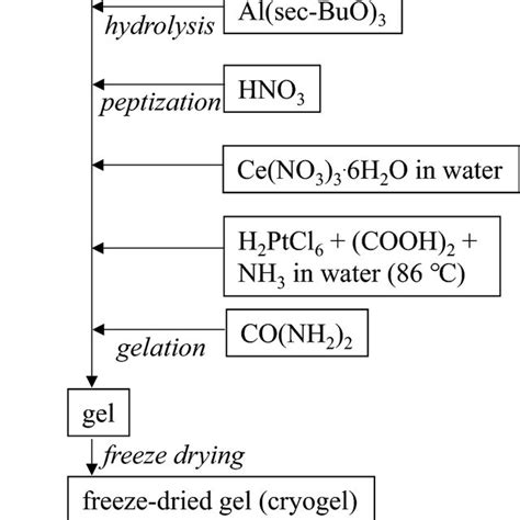Schematic Representation Of Catalyst Preparation Procedure Download