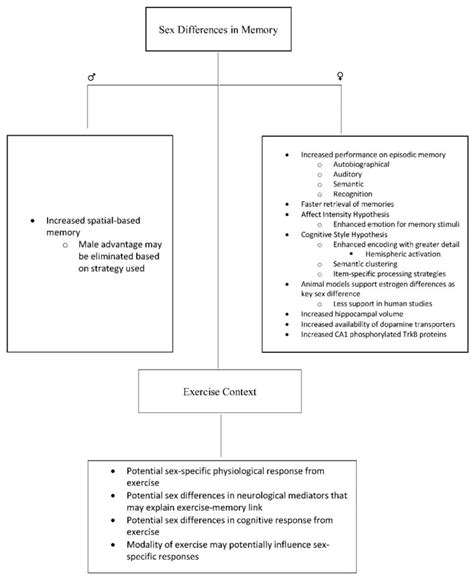 Parsimonious Schematic Of Potential Sex Differences In Memory And Their