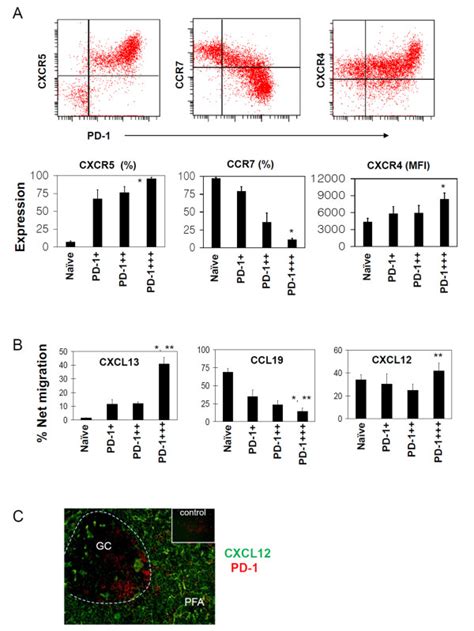 Expression Of Chemokine Receptors And Chemotaxis Of Pd 1 Expressing T