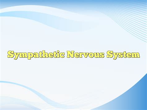 Sympathetic Nervous System Definition And Meaning