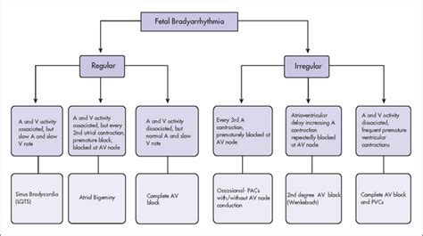 Congenital Complete Heart Block Clinical Gate