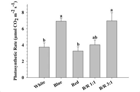 Photosynthetic Rate µmol Co 2 M −2 S −1 Of Brosimum Gaudichaudii