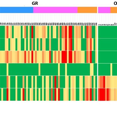 graphical representation and hierarchical cluster analysis of all