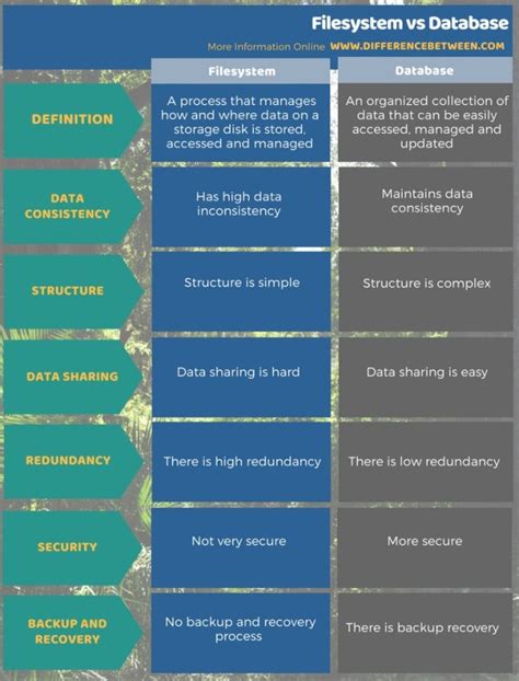 difference between filesystem and database compare the difference