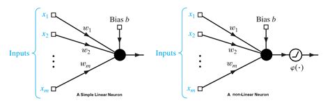 neural network basics hands on transfer learning with python