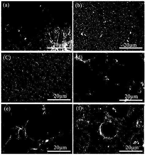 Peek Polyether Ether Ketone Surface Modification Method Eureka