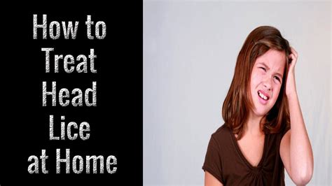 How To Treat Head Lice At Home How To Get Rid Of Head Lice At Home