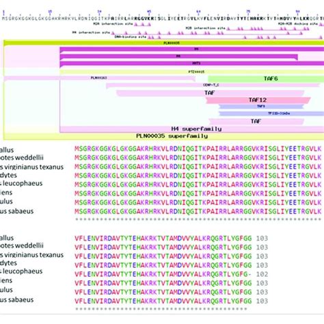 conserved domains on h4 [bos taurus] and multiple sequence alignment