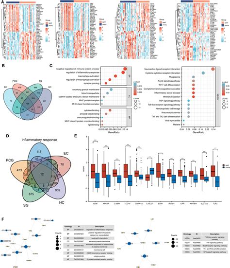 Frontiers Integrated Bioinformatic Analysis And Experimental
