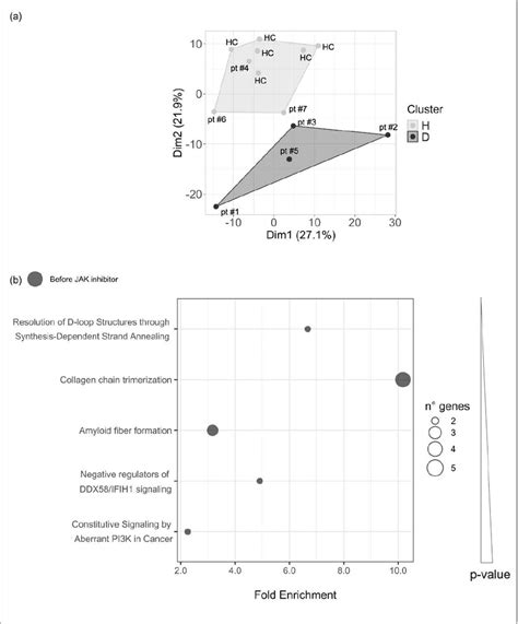 Cluster Analysis And Pathway Enrichment A Cluster Analysis Results