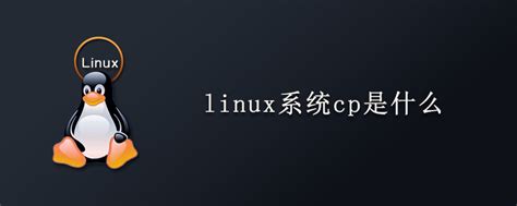 linux cp ip linux cp命令