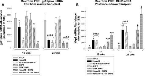 Hoxa10 Overexpression Altered Target Gene Expression In Vivo Mice