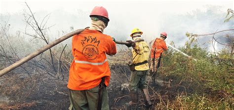 Governo Federal Reconhece Situação De Emergência Em Ms Por Nove Meses