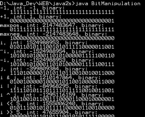 binary bit language basics java