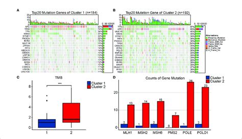 Comparison Of Mutational Landscapes Between Two Clusters Mutational