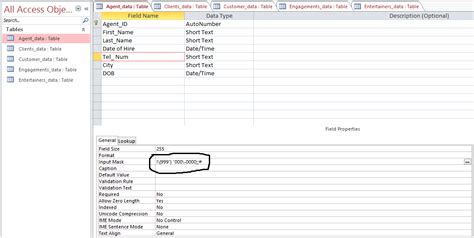 ms access how to add an input mask