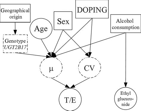 hierarchical graphical bayesian network bn [taroni et al 32 ] for