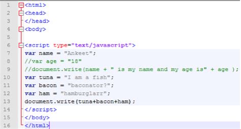 scripting language constructs the fundamentals of a scripting language