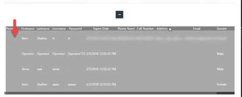c datagrid image templatecolumn source binding wpf