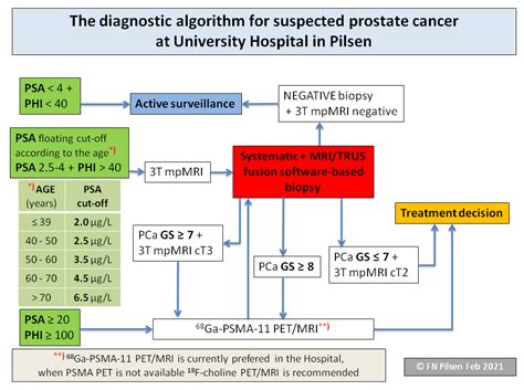 Life Free Full Text Prostate Cancer Diagnostic Algorithm As A “road