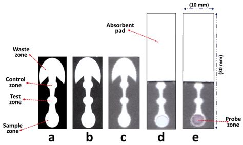Biosensors Free Full Text A Customized Microfluidic Paper Based