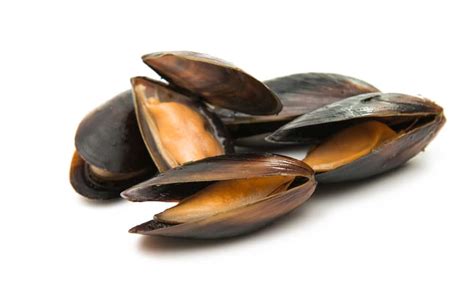 Clams Vs Mussels Difference Comparison With Table