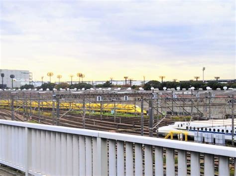 【大井車両基地】ドクターイエローが見れるスポット＆行き方や駐車場情報も紹介！運行日以外がおすすめ！｜てまりの虫めがね