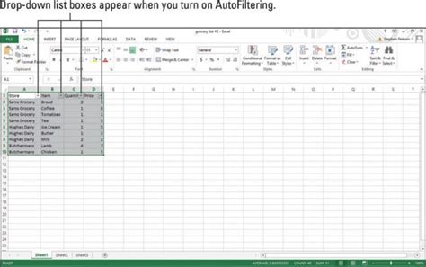 how to use autofilter on an excel table dummies
