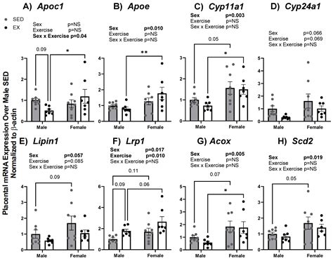 Ijms Free Full Text Maternal Exercise Prior To And During Gestation