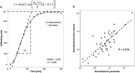 Modelling Gingival Re Epithelialization A Representative Sigmoidal