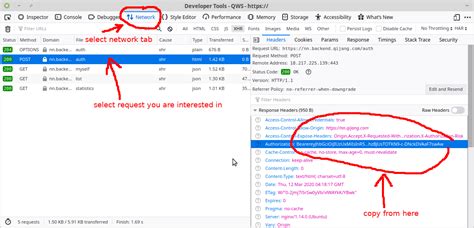 javascript is there a way to copy the authorization parameter from