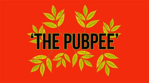 Naked Swim Class And The Invention Of The Pubpee Youtube