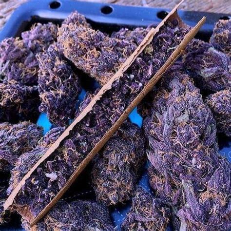 A Ap Rocky Pussy Money Weed Lyrics Genius Lyrics