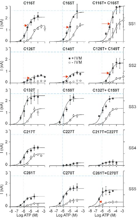 Atp Dose Response Curves For Single And Double Threonine Mutants Of