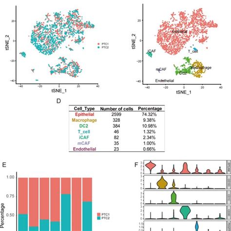 Transcriptome Profile Of Ptc At The Single Cell Level A Process And
