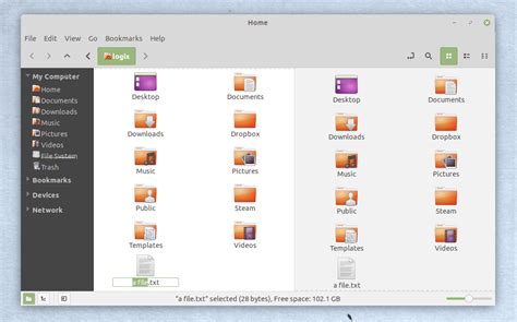 best linux centric file managers for chrome os