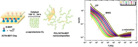 Molecular Dynamics Of Poly ε‐caprolactone Beidellite Organoclay