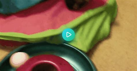 When You Let Small Things Get In The Way Of What You Want Album On Imgur