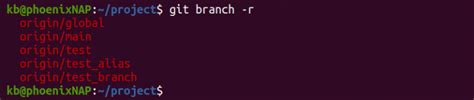 git fetch command {how to use it examples}